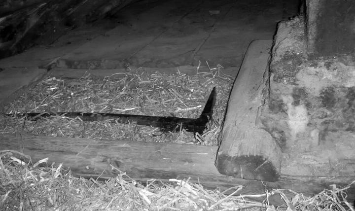 The Hinterkaifeck Murders - by Shadow - Creepedout