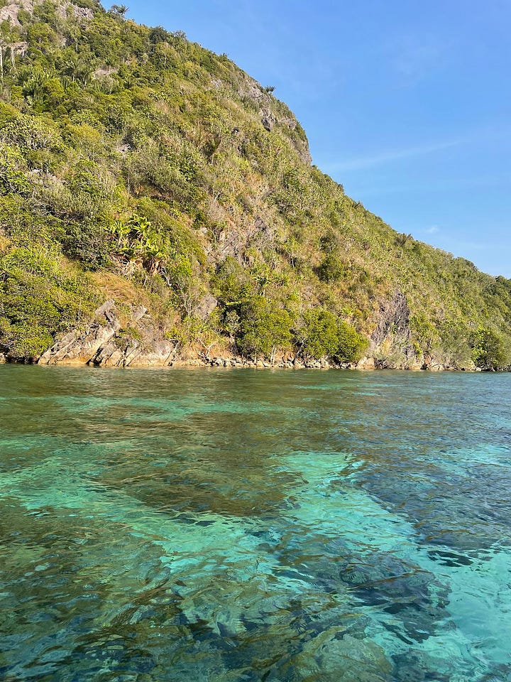 #5: Boo Window Dive Site, Misool, Raja Ampat, Indonesia