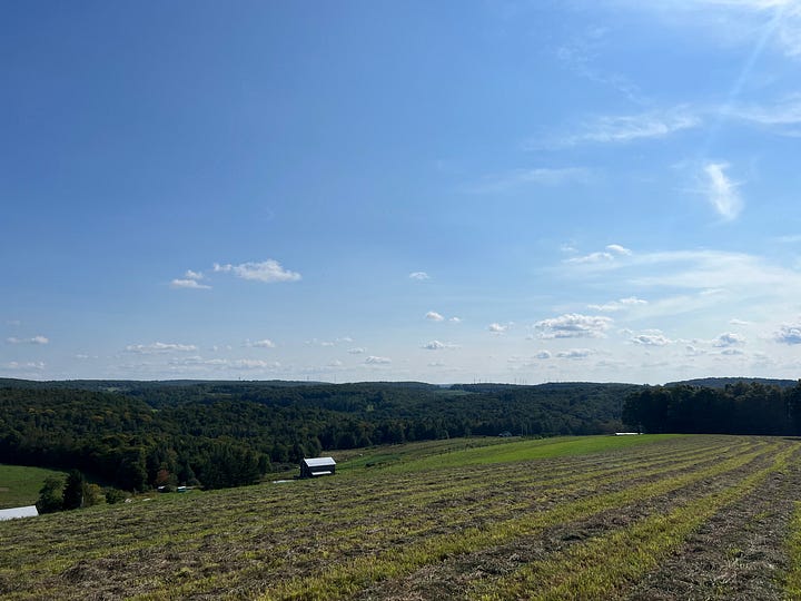 First Farm Experience - Ryan’s Newsletter