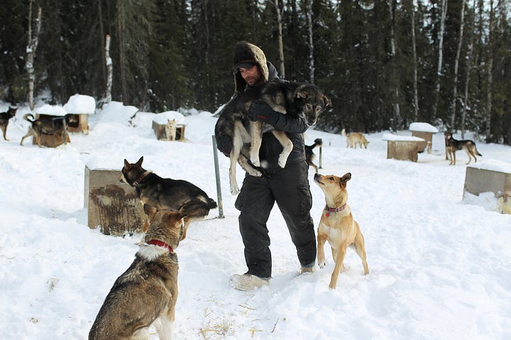 Year-End Remembrances Part 2: Lance Mackey and Mike Leach