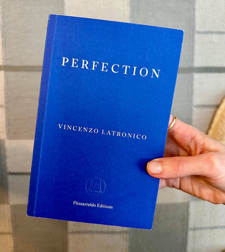 2 Girls 1 Book: Perfection by Vincenzo Latronico