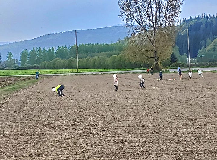 gather: St. Mark's field blessing - by Kristin Haakenson