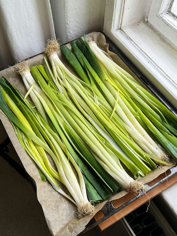 reading round-up #4 - darn good by devan grimsrud