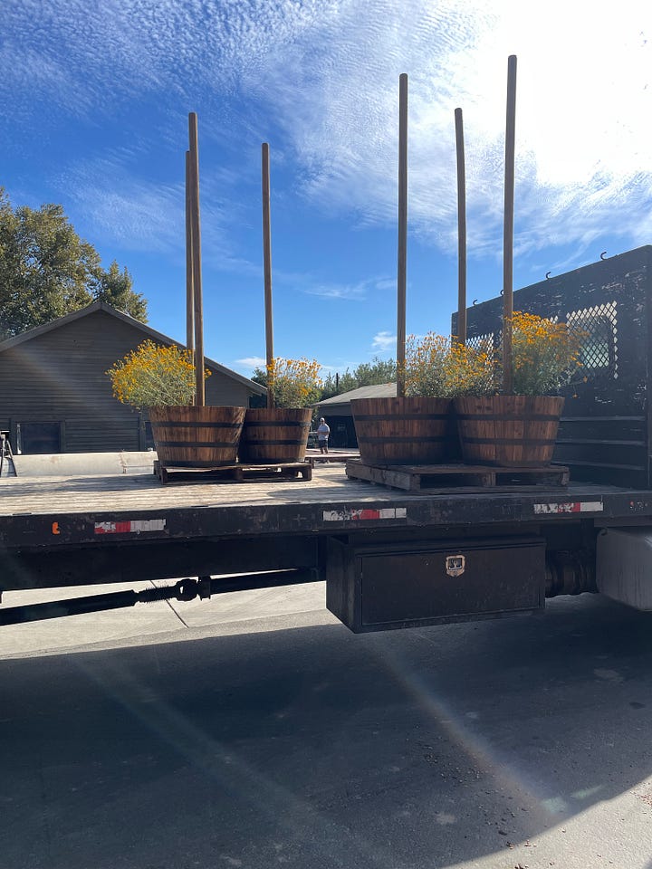 Inside our Almond Farm Wedding - by Zoe Barrie Soderstrom