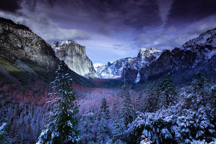 Nature Imagery and Mental Well-Being - by David Webb