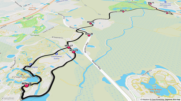 The 2025 Walt Disney World Marathon Course Guide