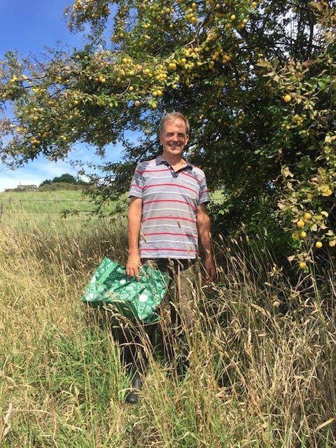 Foraging and preserving season - East Springs Farm Substack