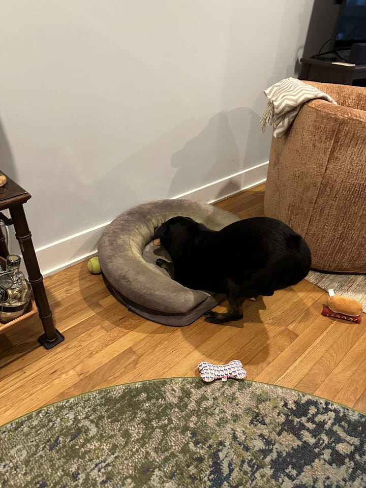 DEI - by Christopher Dake - Okay History