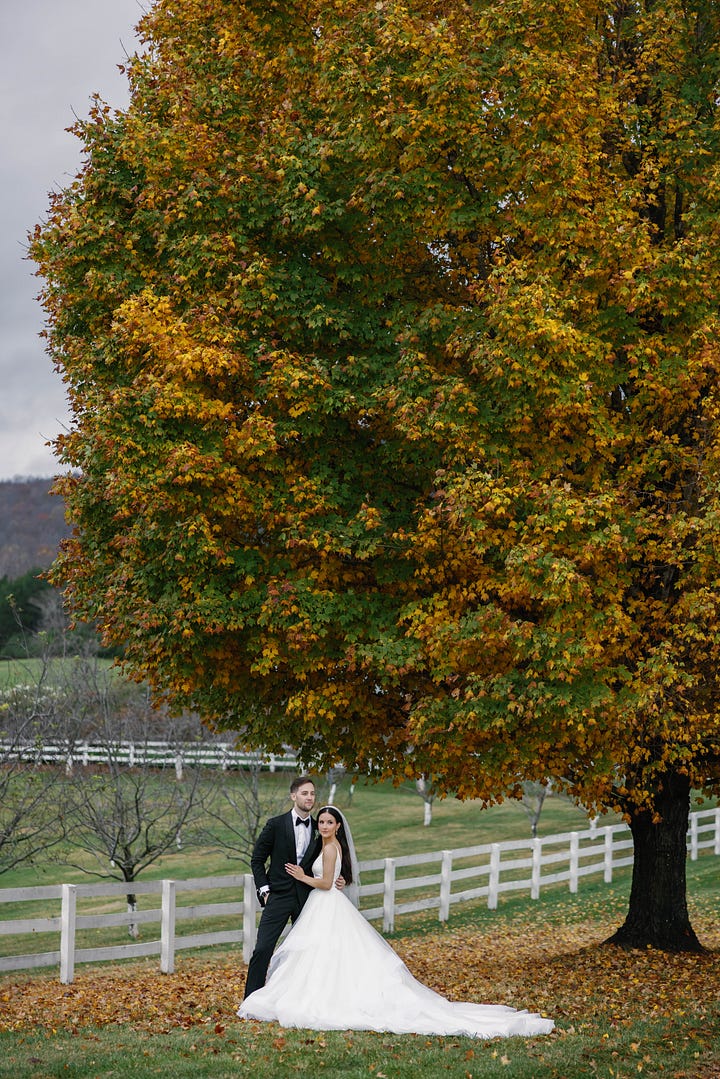 A Picture is Worth... - by Robert Vine - Vienna to Vienna