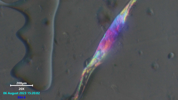 Polarized filters for Vacksine/Morgellons Microscopy