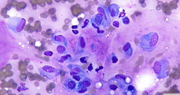 Alkaline phosphatase for cytology staining