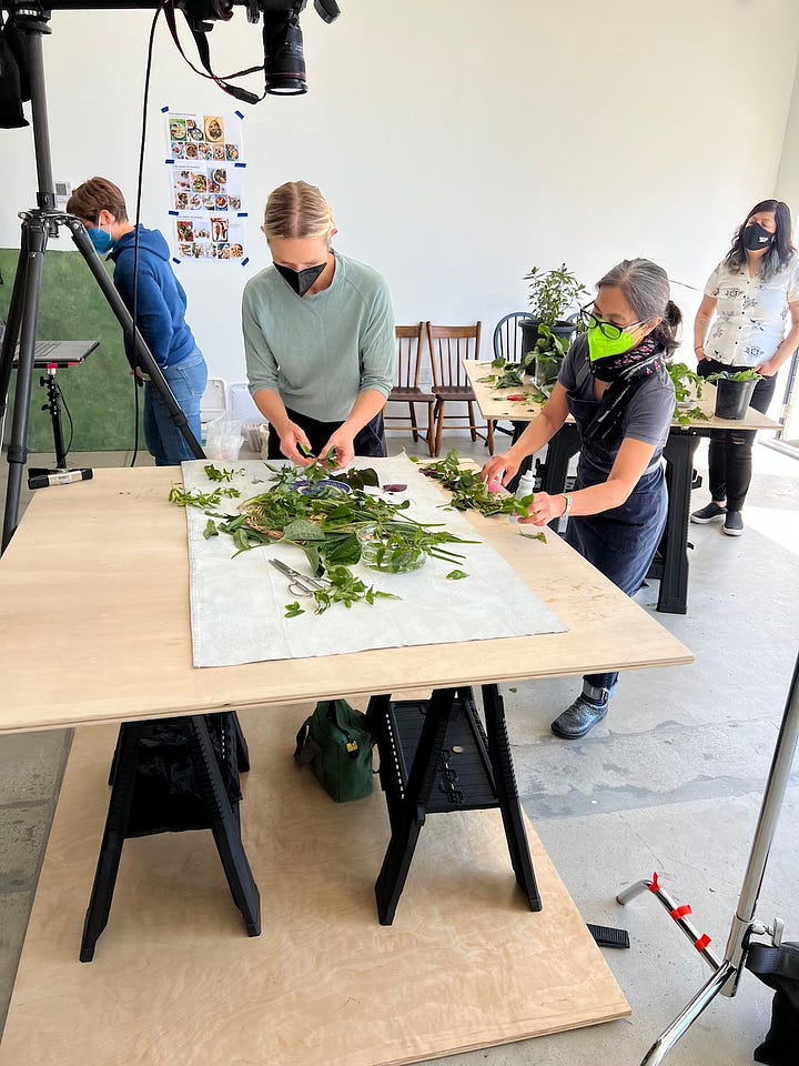 Farewell to Aubrie Pick, Photographer Extraordinaire