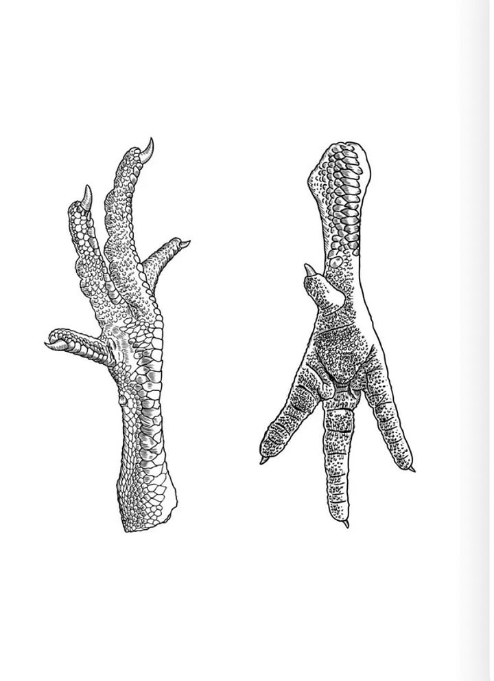 The Jedi Zohar, Thirsty Jewish Vampires, and Other Essential Topics