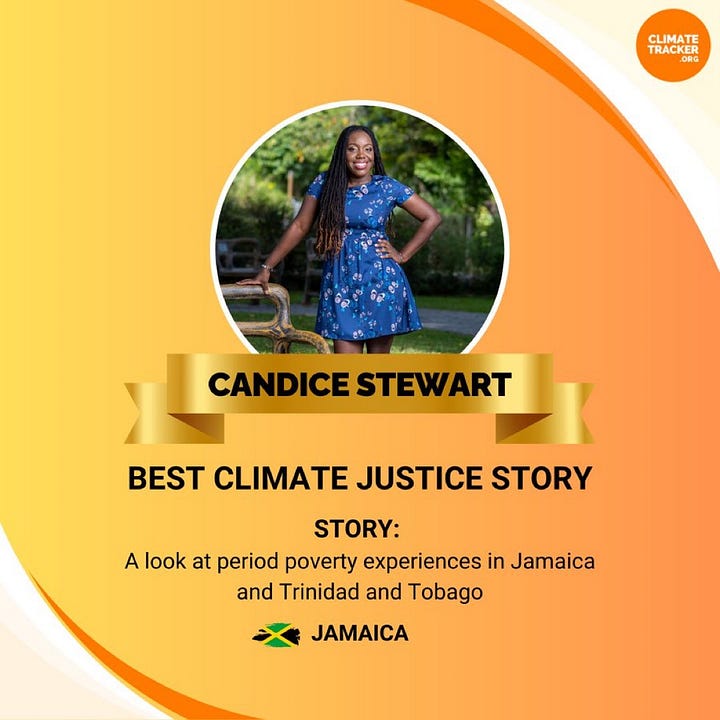 Getting judgmental - by Emma Lewis - Petchary on Substack