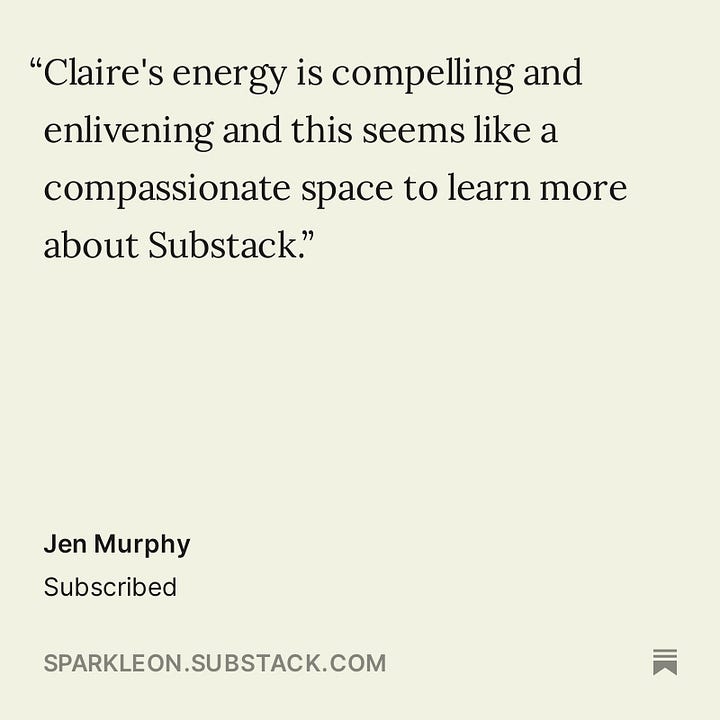 The Business of Your Substack in 2024 - by Claire Venus