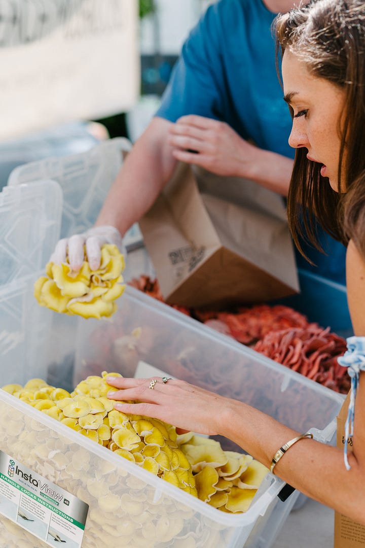 Behind the Apron - by Ana Sofía - Behind the Apron