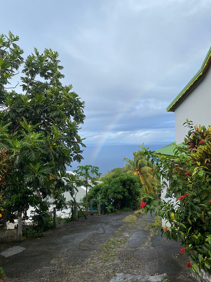 This Month Has Been GOM (F) - by Megan Crouse - Island Time