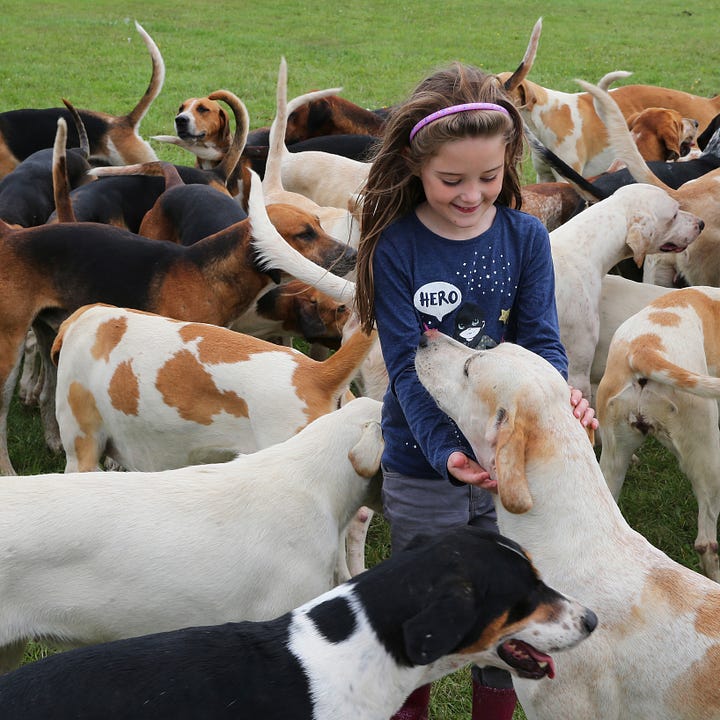 The Game Fair, the celebration of the countryside. - Countrywoman's Guide
