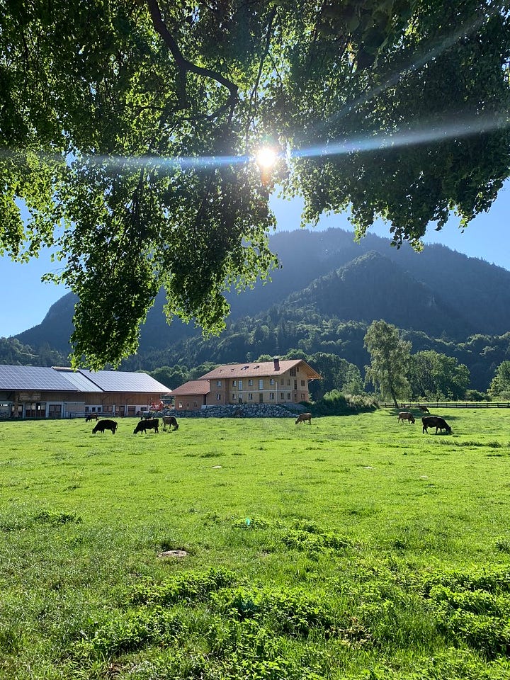 (#4) Ok so Germany ... - by Noelle M-H - Noelle’s Substack