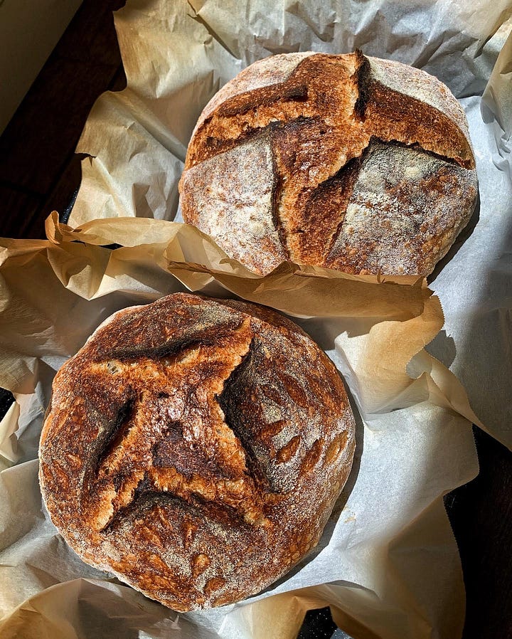 Everything You Need To Know - by Jiyoon Jang - BY JIYOON