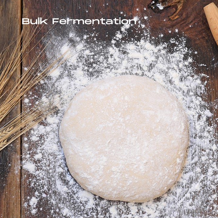 Bulk Fermentation Facts - by Mandy Clark