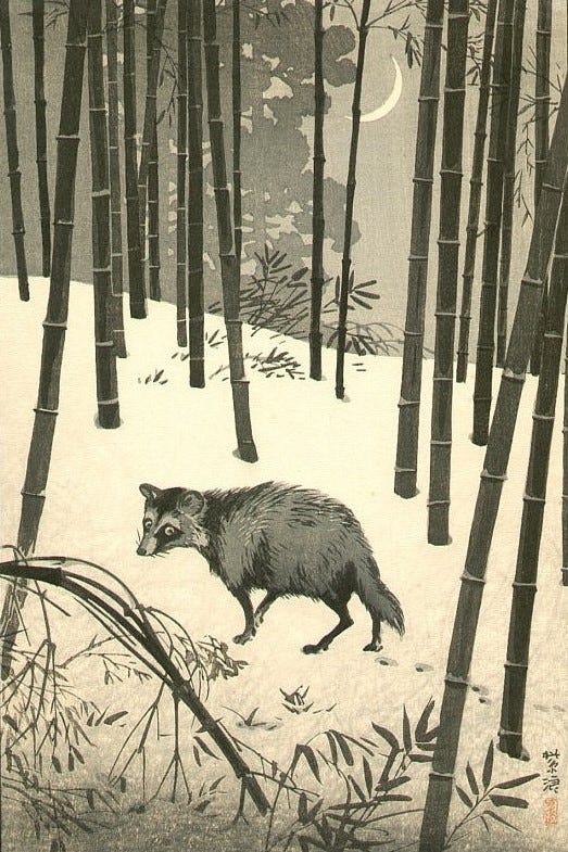 Tanuki - Hanashi by Curious Ordinary