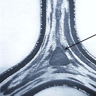 Lightbridge Corp: Designing Next-Generation Fuel for Nuclear Reactors