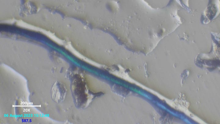 Polarized filters for Vacksine/Morgellons Microscopy
