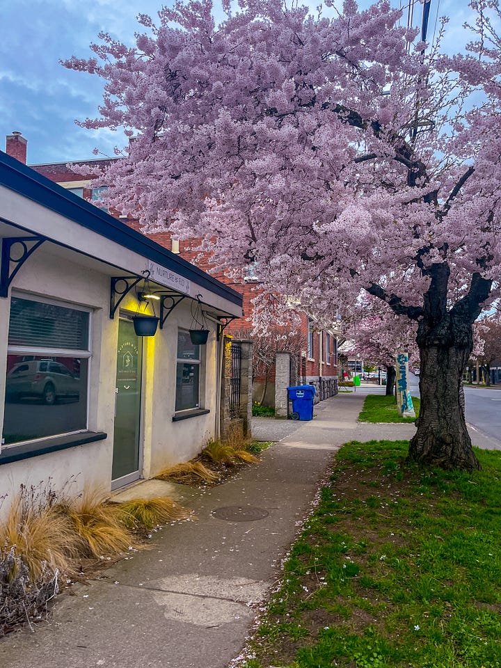 The paper apartment - by Alana Trachenko - 🍋 Monster Girl