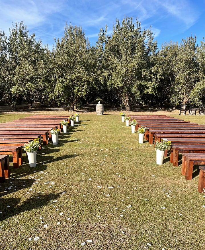 Inside our Almond Farm Wedding - by Zoe Barrie Soderstrom