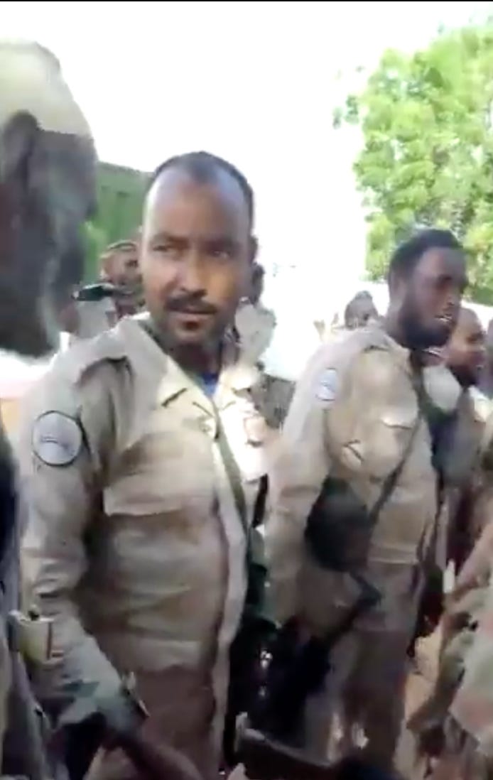 “All the dogs are gone”; “Dar Masalit is for the Arabs now”