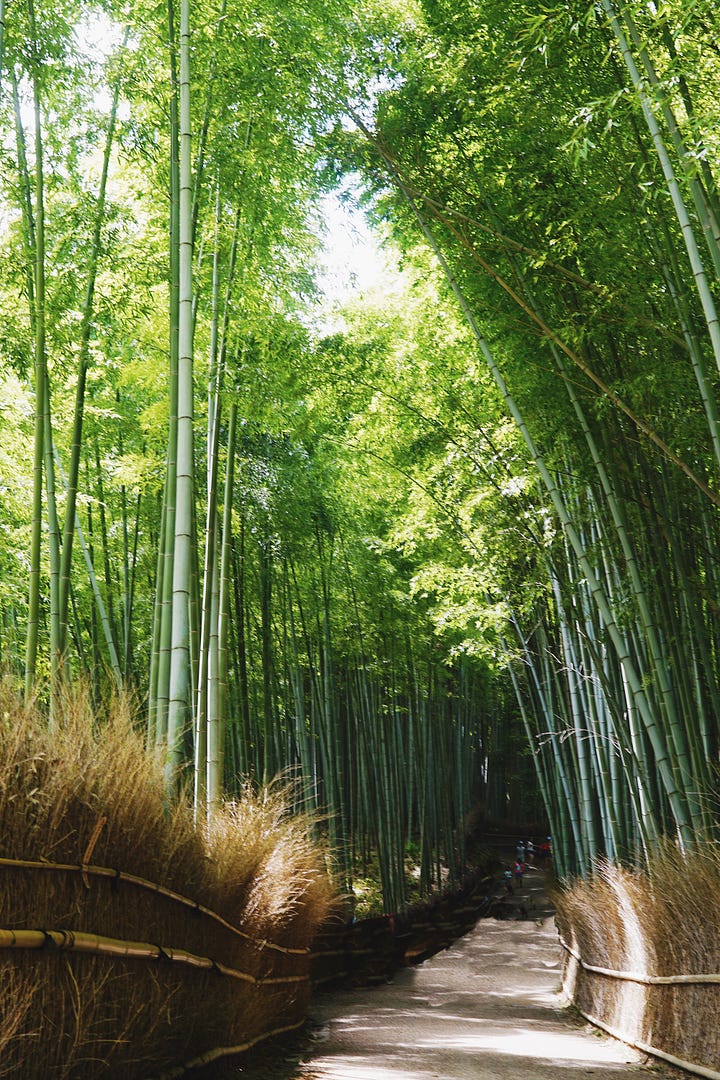 5F in Tokyo and Kyoto, Japan - by Anne Lowrey