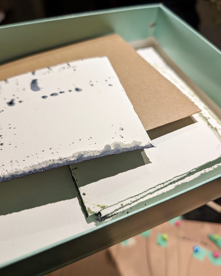 002 - Things I’ve learned with cyanotypes - by Stephanie