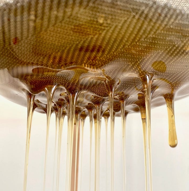 Extraction et mise en pots du miel - by Philippe Royer