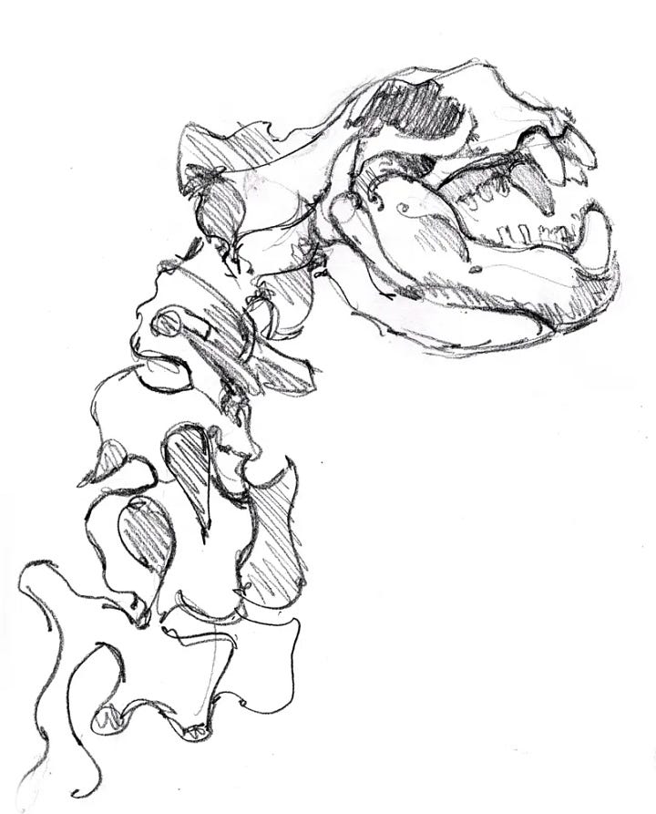 Five Tips for Sketching in a Museum