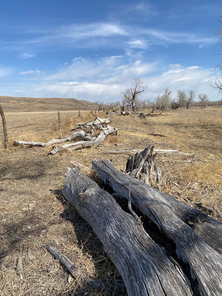 Neighbors of indicted South Dakota ranchers speak to decades of ...