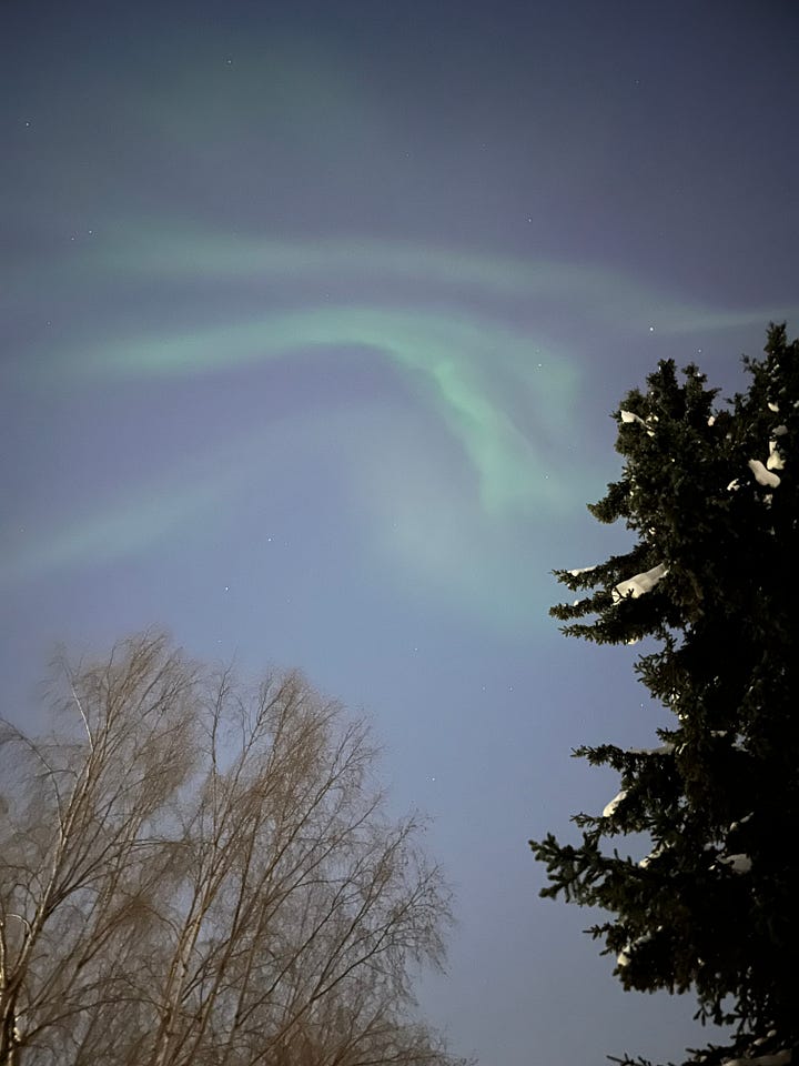 Aurora for all - by Julia Bedell - vessels