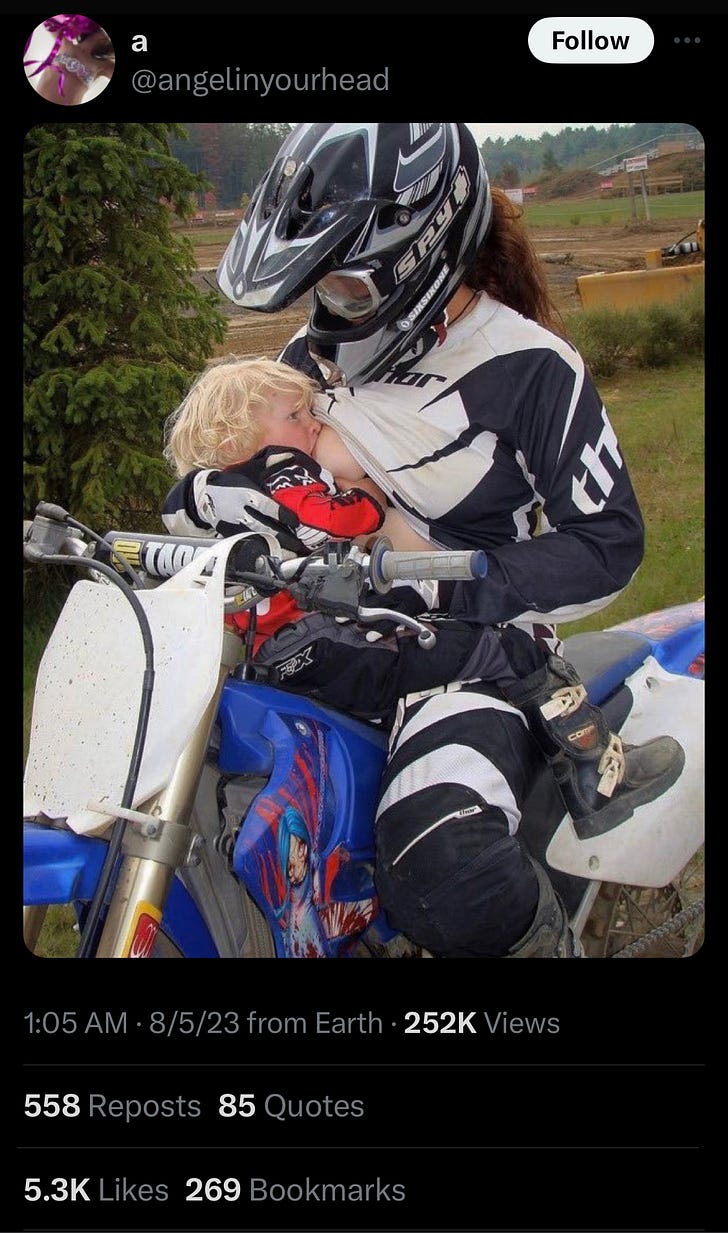 My Internet: Magdalene Taylor - by Nick Catucci - Embedded