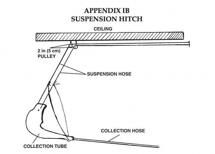 Premarin is Extracted from Horse Urine, and that's Okay