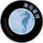 海马星球 Seahorse Planet | Substack