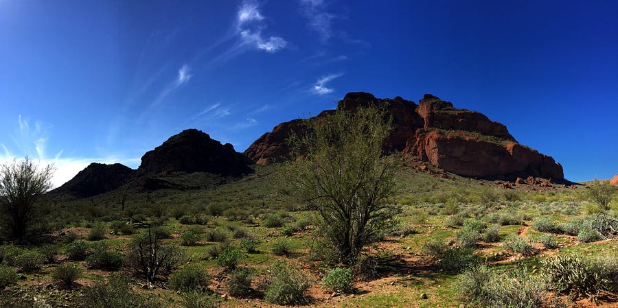 Generation X Native | Hans Klose | Substack