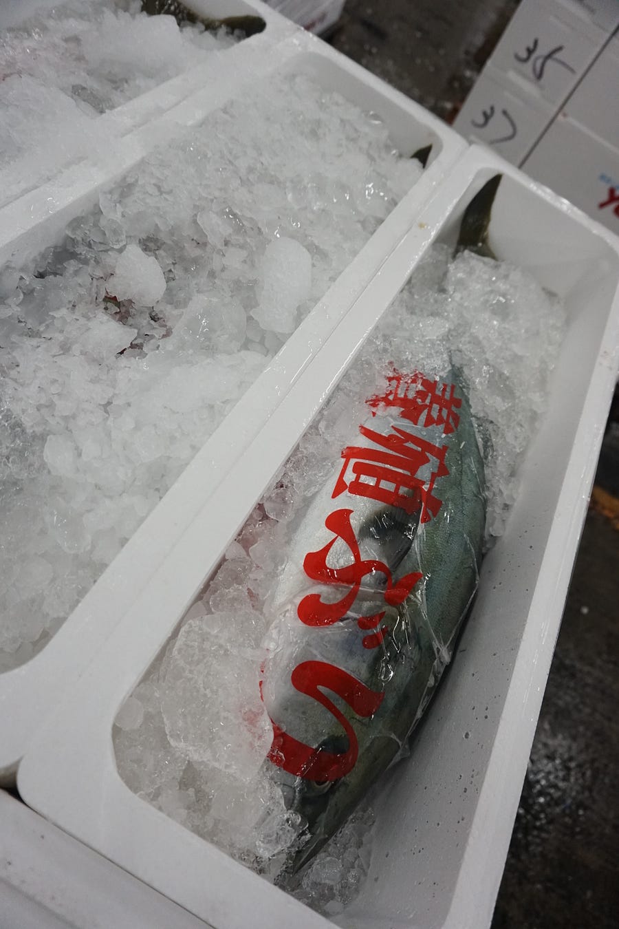 Pandemic Kitchen | Jacob Dean | Substack