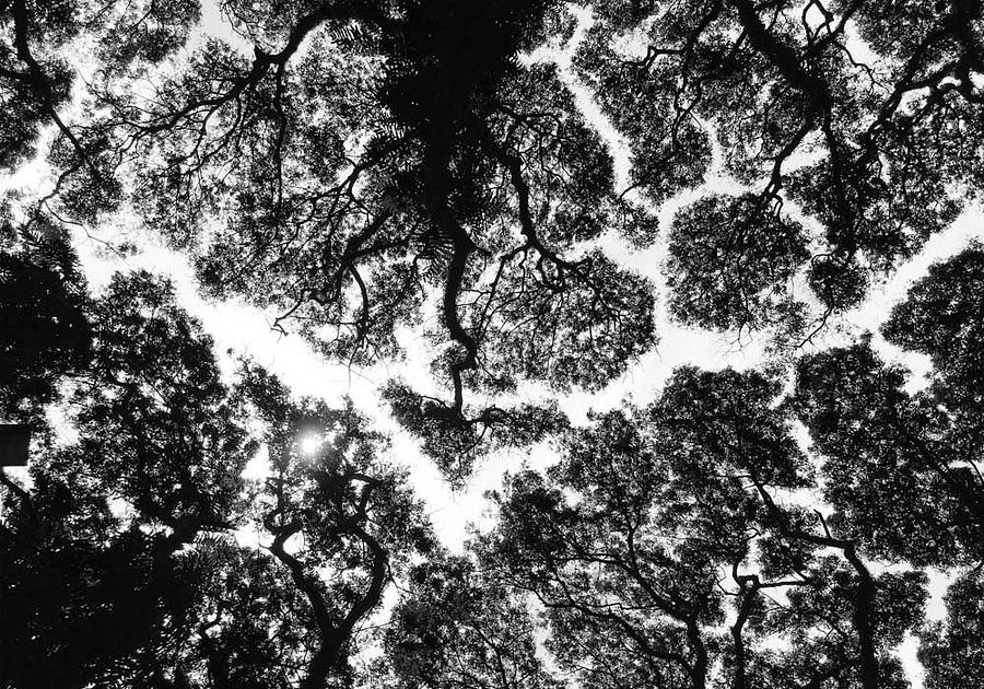 Athenarium | Substack