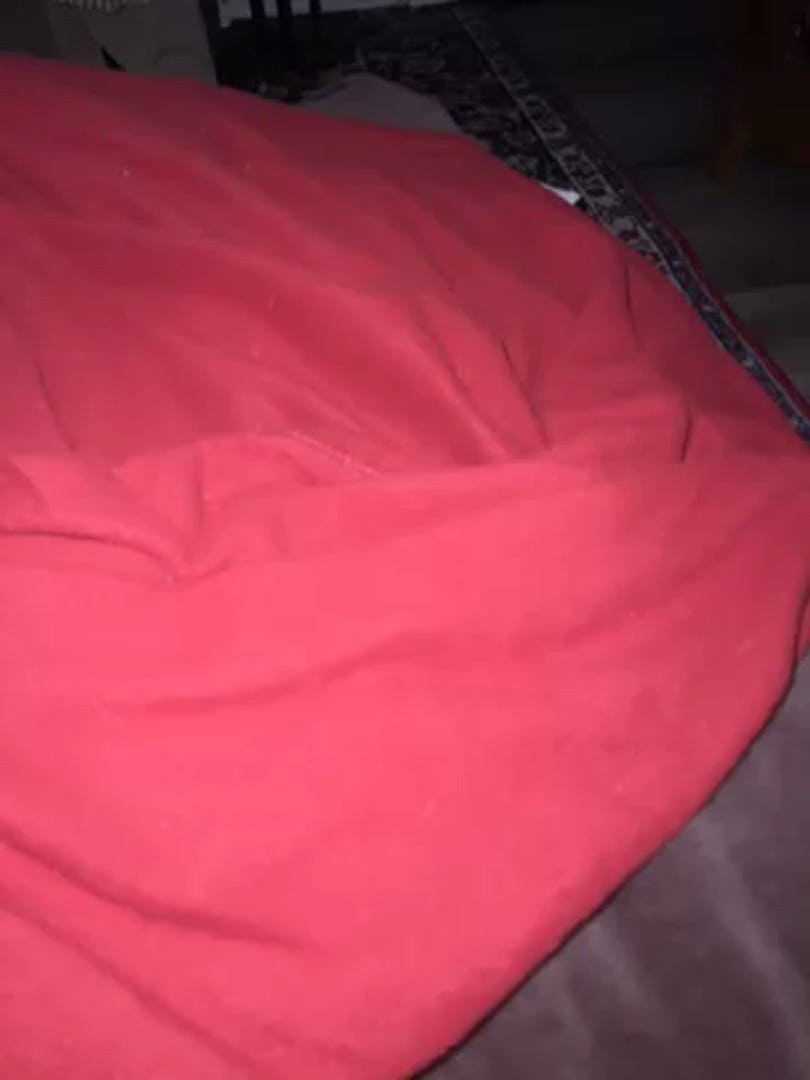 Michael Musgrove | Substack