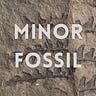 Minor Fossil | Substack