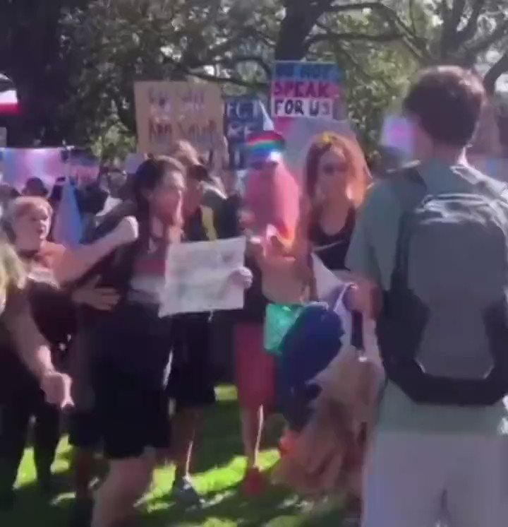 Make Him Famous! - by Rex Landy - Reality Bites