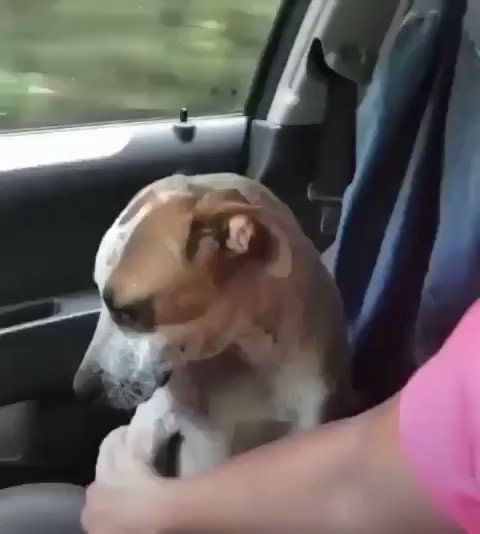 uTobian | Toby Rogers | Substack