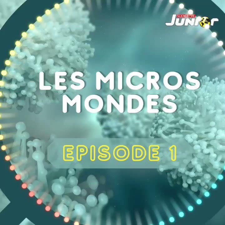 Les Micronews | Renaud 🦠 | Substack