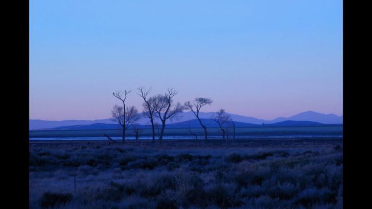 imetatronink | William Schryver | Substack