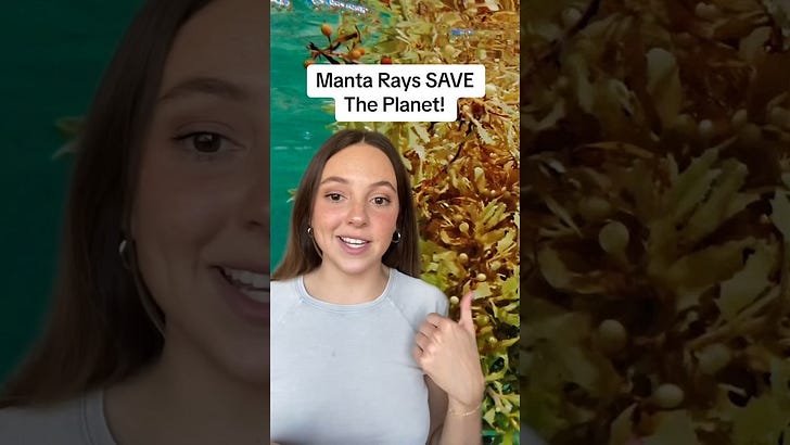 The Certainly Uncertain Edition - by Andy Pergam